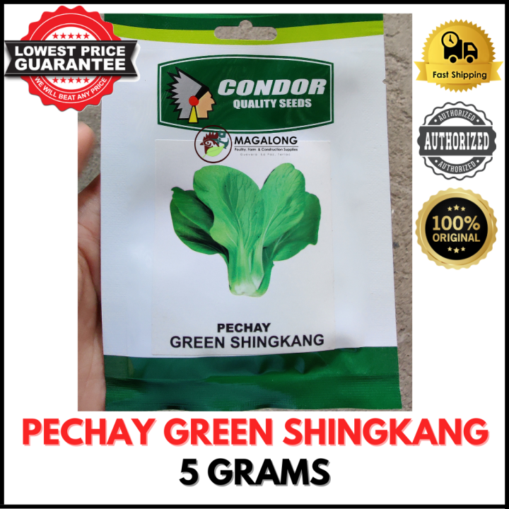 CONDOR SEEDS - PECHAY SEEDS - GREEN SHINGKANG 5 Grams | Lazada PH