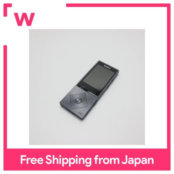 SONY Walkman A20 Series 16GB Hi-Res Audio Support 2015 Model Charcoal ...