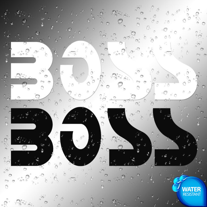 1X Boss Audio Sticker | Weather Proof Die-cut decals | 4 inches Pro ...
