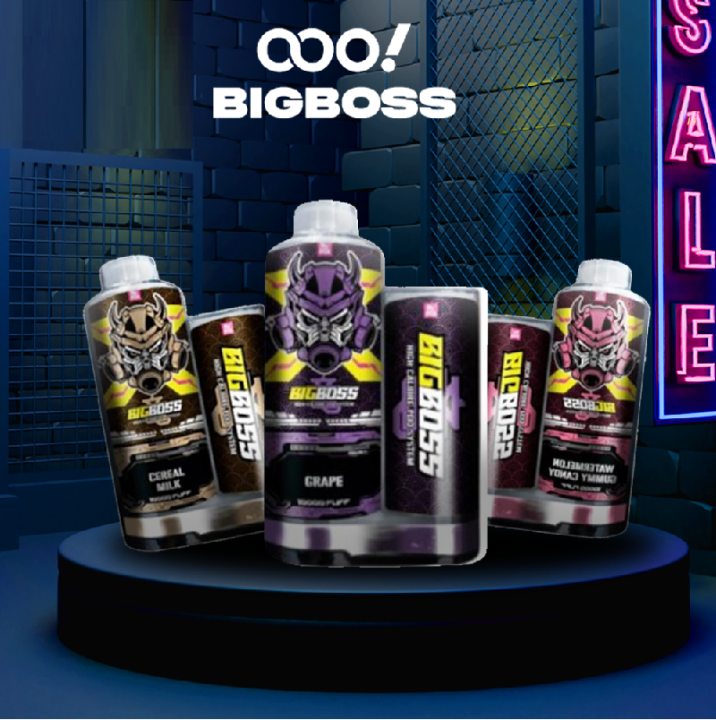 BIG BOSS 12000 BATTERY BUILT IN CHARGING WITH USB C BOSS | Lazada