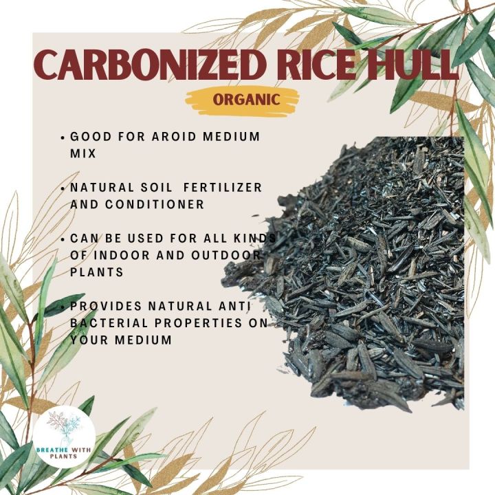 CRH Carbonized Rice Hull (Inuling na Ipa) or Composted Ipa or Freshs ...