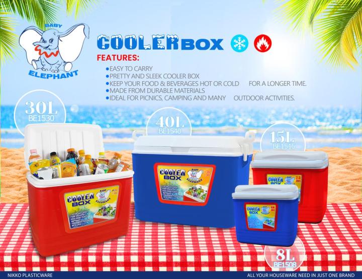 Ice Box Insulated Cooler 8L 15L 30L 40L | Lazada PH