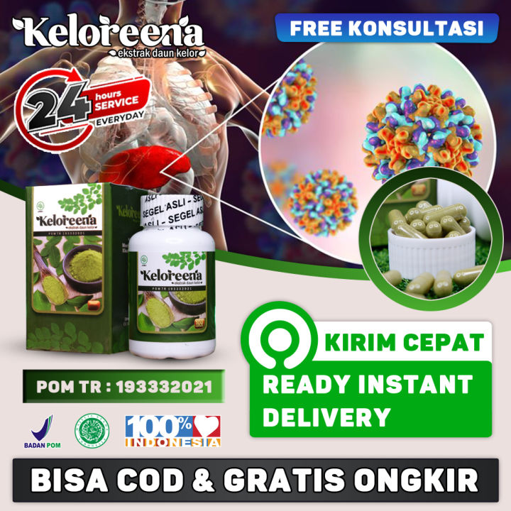 Keloreena Obat Hepatitis A B C Ekstrak Daun Kelor Untuk Liver Bengkak ...