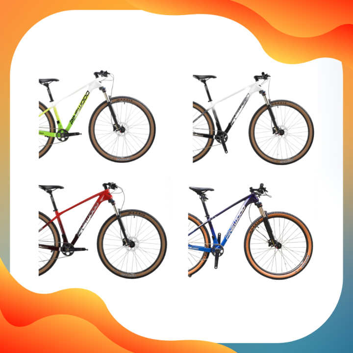 Pinewood Evolution 7 Frame 29er T800 Carbon with 31.6 Seatpost | Lazada PH