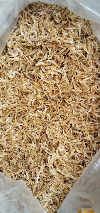 DRIED SHRIMP (KALKAG / HEBE / ALAMANG) from MINDANAO | Lazada PH