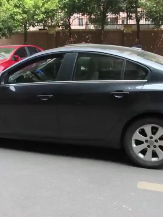 LZD Metal 40 Cylinder High-Power Car Double Cylinder Air Pump Portable Car 12V Tire High ...