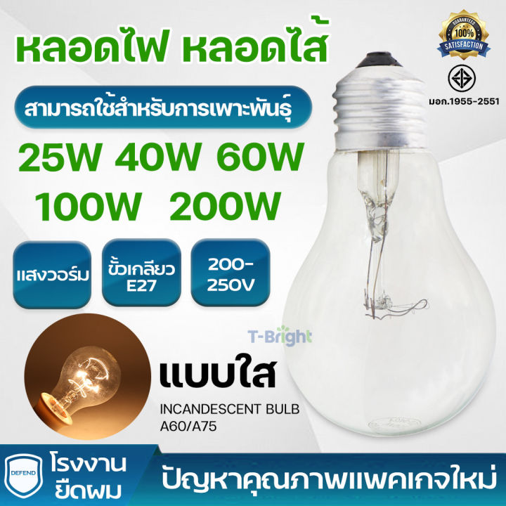 หลอดไส้ หลอดร้อน หลอดกกไก่ 25W 40W 60W 100W 200W 220Vเปลี่ยนหลอดไฟฮาโลเจนสปอตดาวน์ไลท์ E27 ...