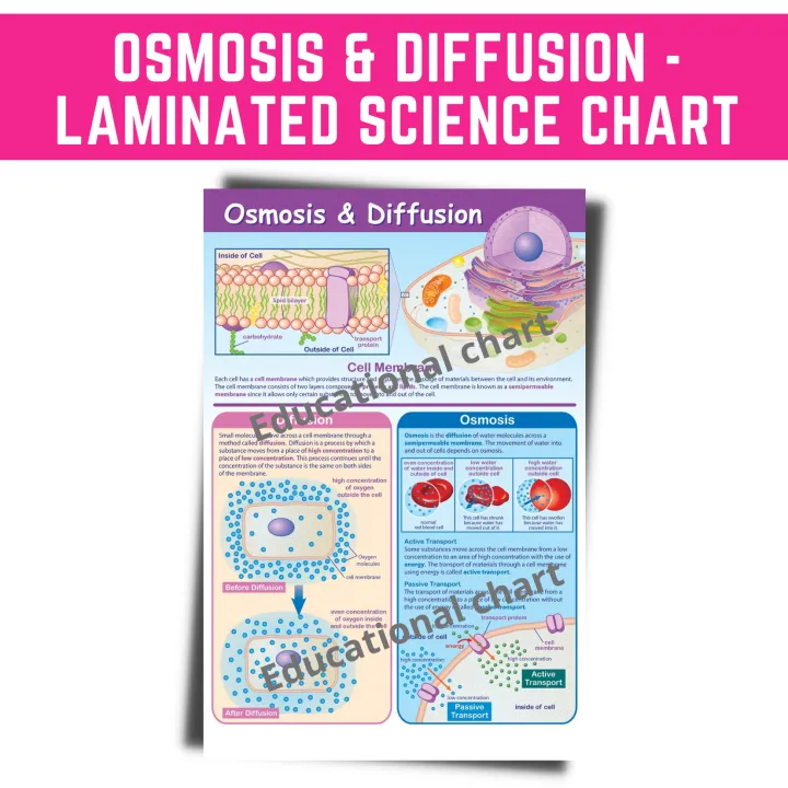 LAMINATED EDUCATIONAL SCIENCE BIOLOGY CHARTS OSMOSIS AND DIFFUSION ...