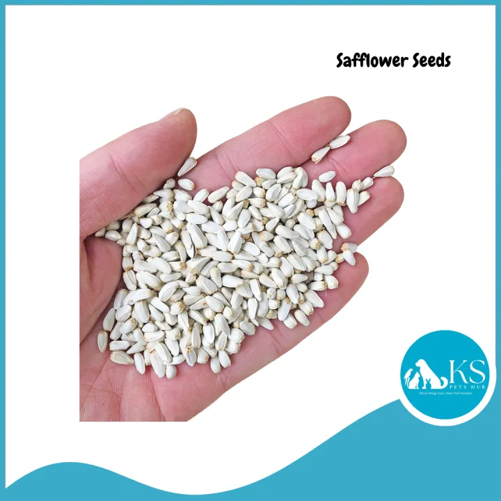 KSPH Bird Safflower Seeds 1kg Small Parrot Bird Food Diet | Lazada Singapore