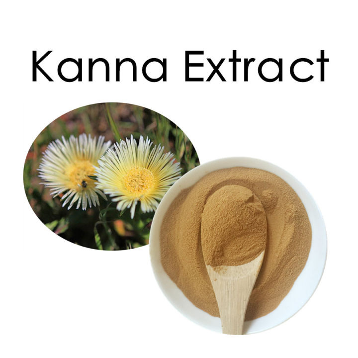 kanna extract powder (Sceletium tortuosum (L.)) channa kougoed ...