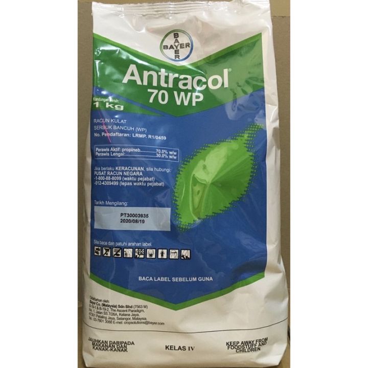 ANTRACOL 70WP (Racun Kulat) 1kg | Lazada
