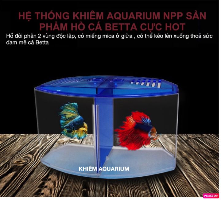 Bể Cá Betta Mini - Hồ Cá Mini Để Bàn Bằng Nhựa Cao Cấp 1& 2 Ngăn ...