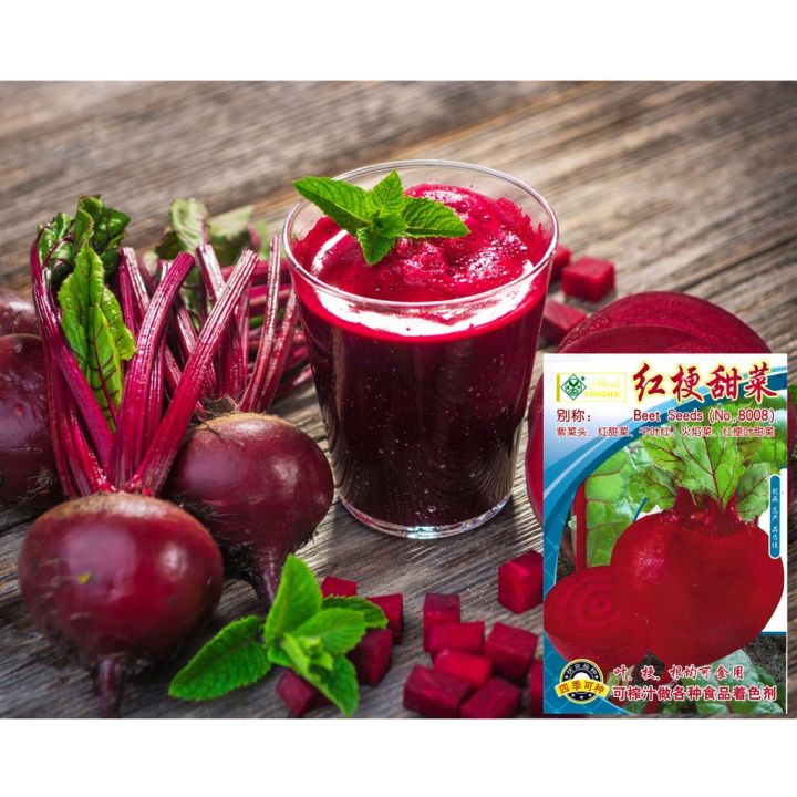 เมล็ดบีทรูท Beetroot 200 เมล็ด สายพันธุ์ OP | Lazada.co.th