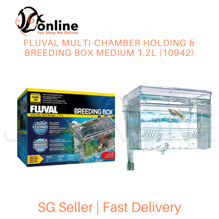 FLUVAL Multi-Chamber Holding & Breeding Box Medium 1.2L (10942 ...