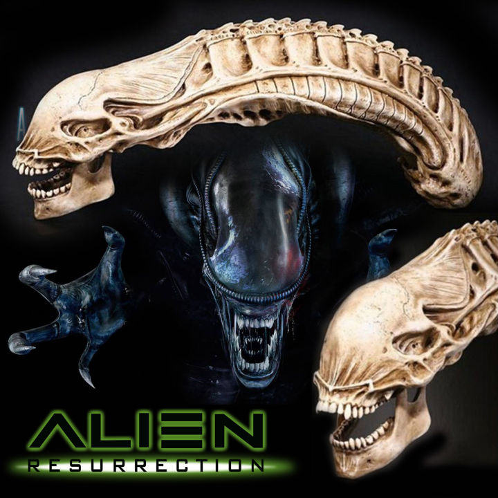 JAPAN โมเดล หัวกะโหลก เอเลี่ยน จากเรื่อง Aliens Resurrection สุดโหด ...