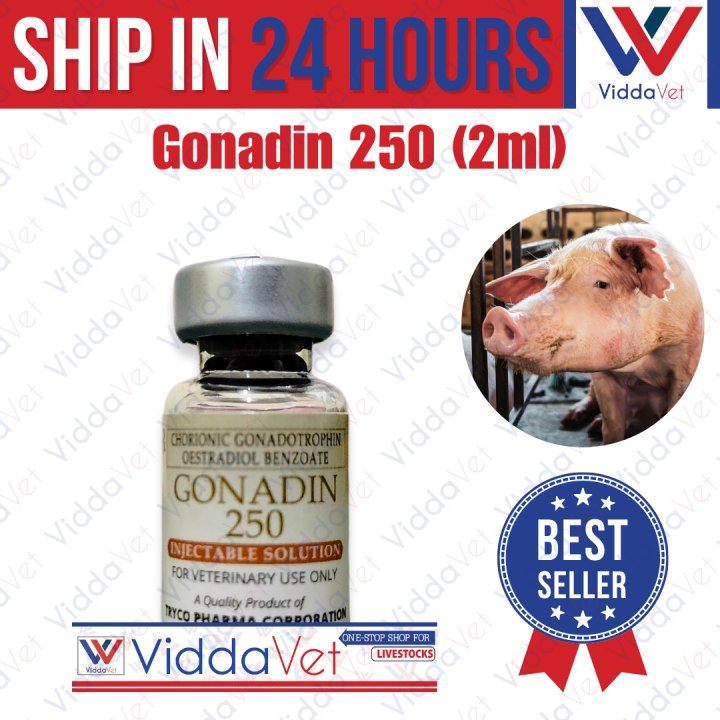 Viddavet Gonadin 250 (2ml) for pigs Optimized for Livestock Fertility ...