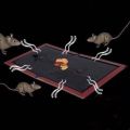 Rat-killing glue board, rat-killing sticker, rat-proof board, new mouse ...