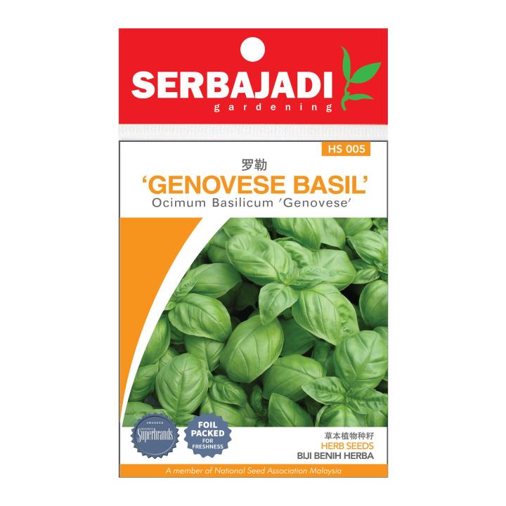 Serbajadi x GardenWell Genovese Basil | Herb Seed | Aromatic Leaves ...