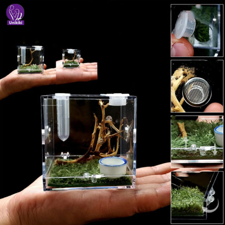 UNIKIKI Jumping Spider Habitat Acrylic Feeding Cage Nano Terrarium with ...