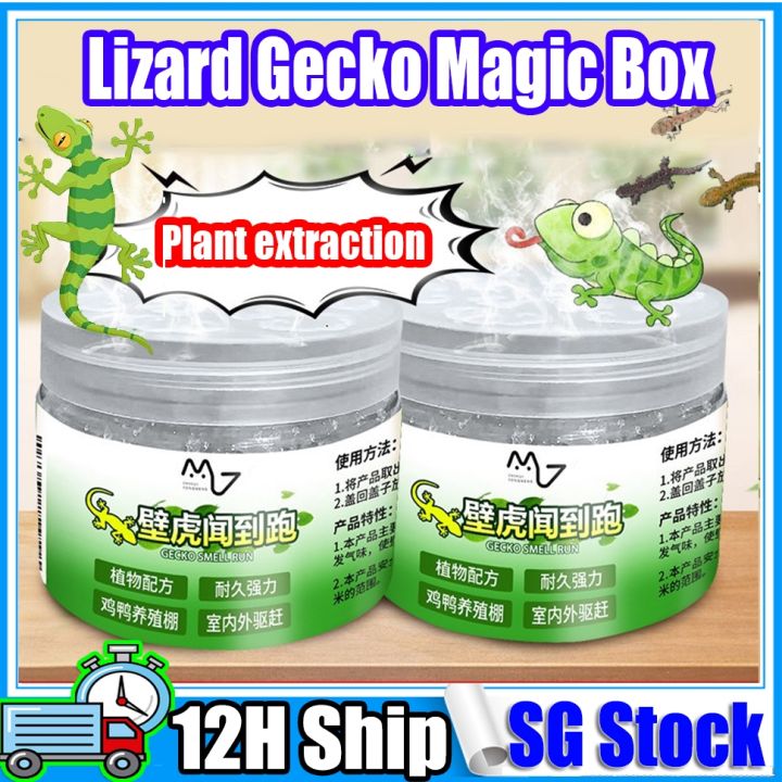 Lizard Killer Gecko Repellent Magic Box Plant Formula Upgraded Lizard ...