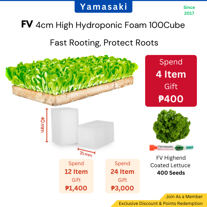005 FV Hydroponic Foam 4cm High 100 Cubes | hydroponics foam ...