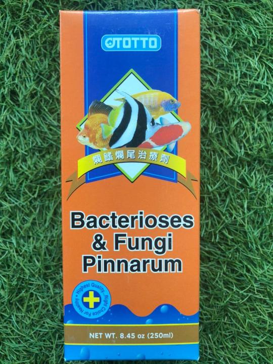 OTTO FISH MEDICATION 12 VIVO BACTERIOSES & FUNGI PINNARUM 250ML ...