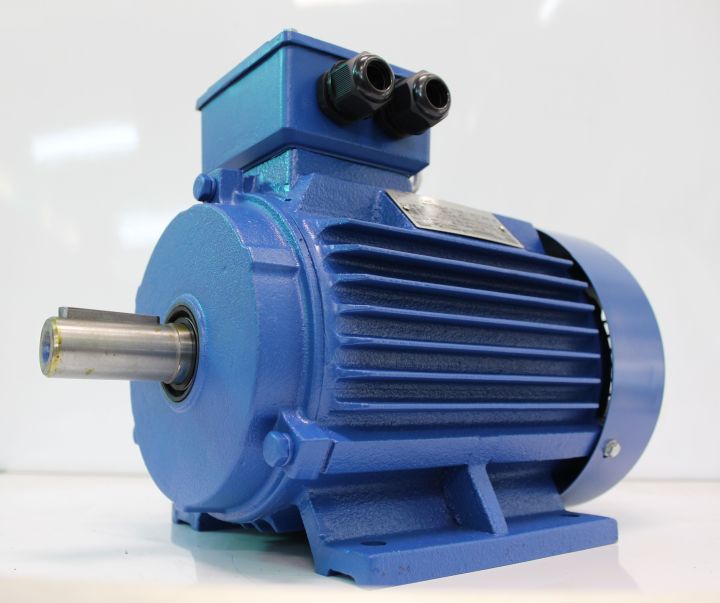 EleDelta Three Phase Induction Motor 2.2KW/3HP/415V/50Hz Foot Mounting ...