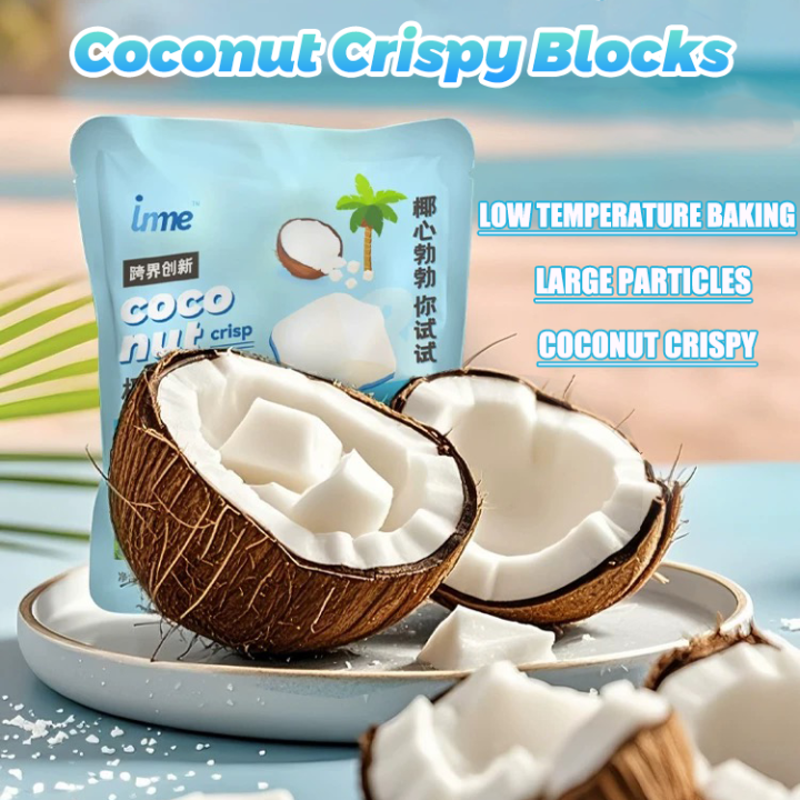 [In Stock] Crispy Coconut Flakes Coconut Crispy Blocks 椰子脆 Dried Snacks ...