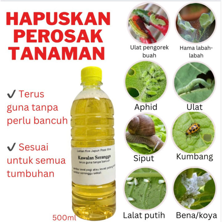 Racun Kawalan Serangga Refill/ Racun Selamat/Racun Tanaman/Racun Ulat ...