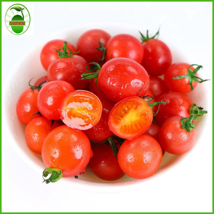 (10seeds）mini tomatoes cherry tomatoes potted tomatoes fruit tomato ...