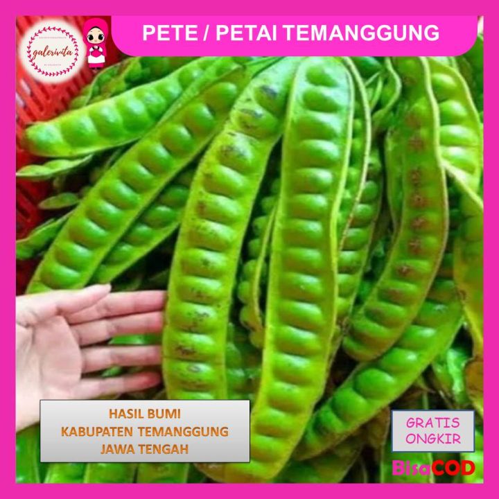 Petai / Pete Jawa Segar 1 Papan | Lazada Indonesia