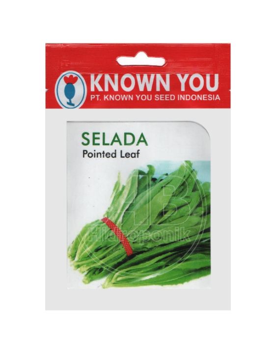 Benih Selada Wangi Pointed Leaf Siomak Known You Seed Isi 5 Gram ...