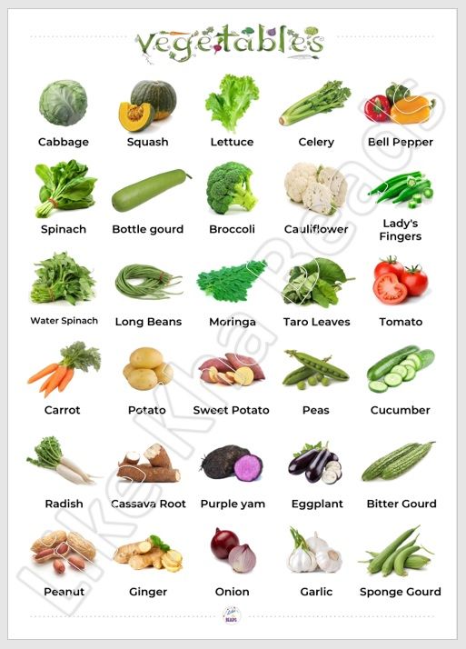 Laminated Big chart Vegetables Educational Chart for kids, Laminated ...