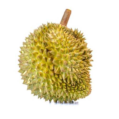 Durian Fruit "Puyat Variety" (1.5-2kg) | Lazada PH