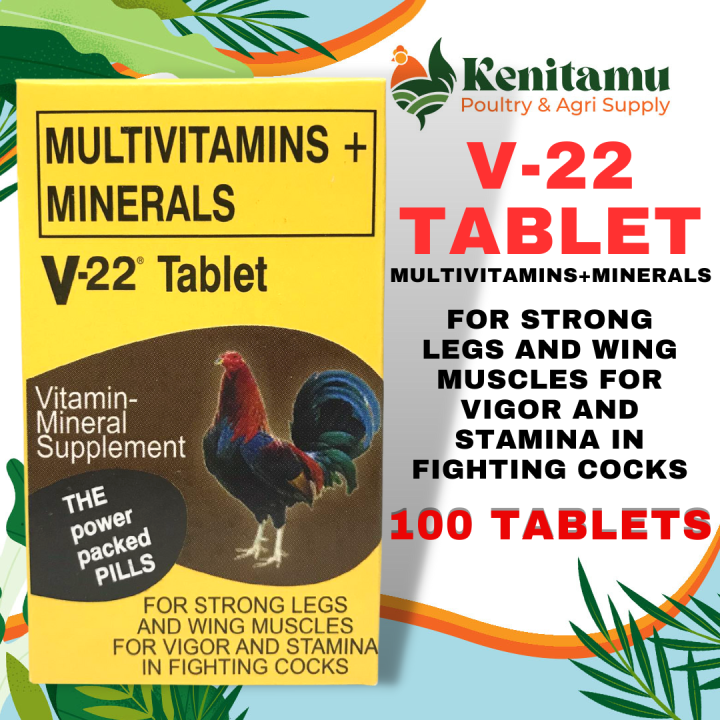 V-22 TABLET MULTIVITAMINS+MINERALS 100 TABLETS | Lazada PH