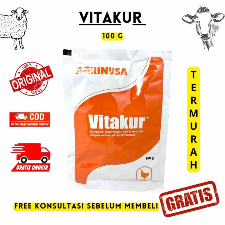 VITAKUR 100 gram | Multivitamin Ayam Herbal Kunyit Temulawak Penambah ...