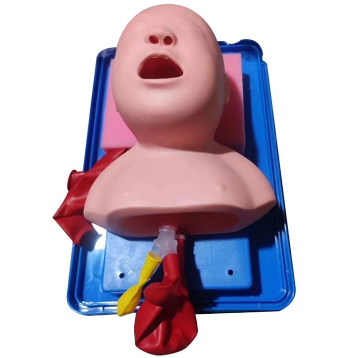 (TQYV) Tracheal Intubation Infant Model, Nasal Intubation Model ...