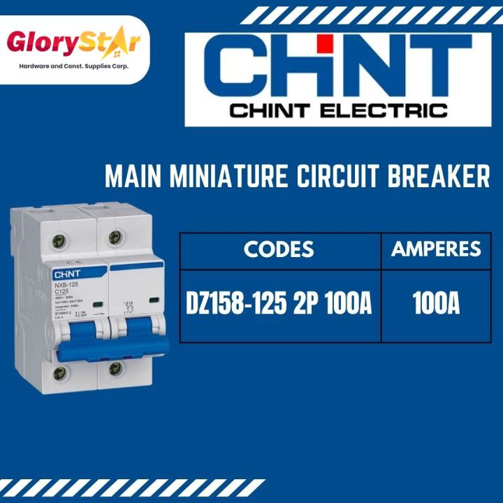 CHINT ELECTRIC MAIN MINIATURE CIRCUIT BREAKER | Lazada PH