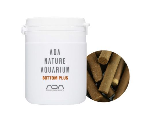 ADA Bottom Plus (1Pcs) (Fertilizer / Aquatic Plant) (LOOSE PACK) | Lazada