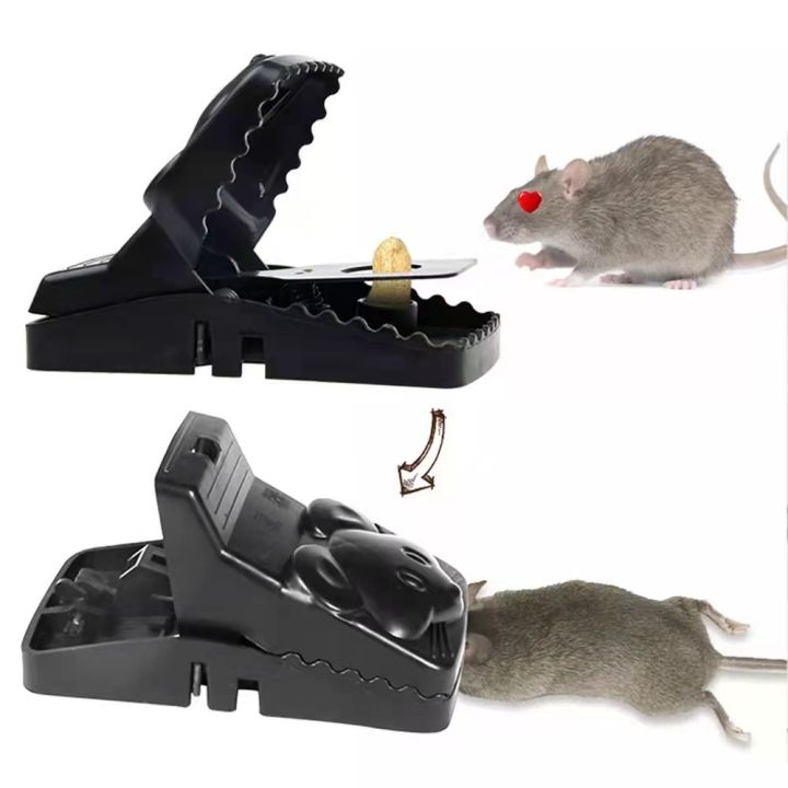 Mouse Rat Traps High Sensitive Snap Big Plastic Mouse Trap Rodent ...