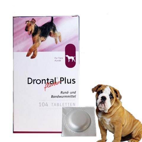 DRONTAL Plus Dog Dewormer | Lazada PH