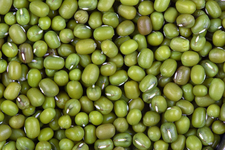 Mongo Beans Vegetable 30 - 40 seeds Outdoor Garden Plant | Lazada PH