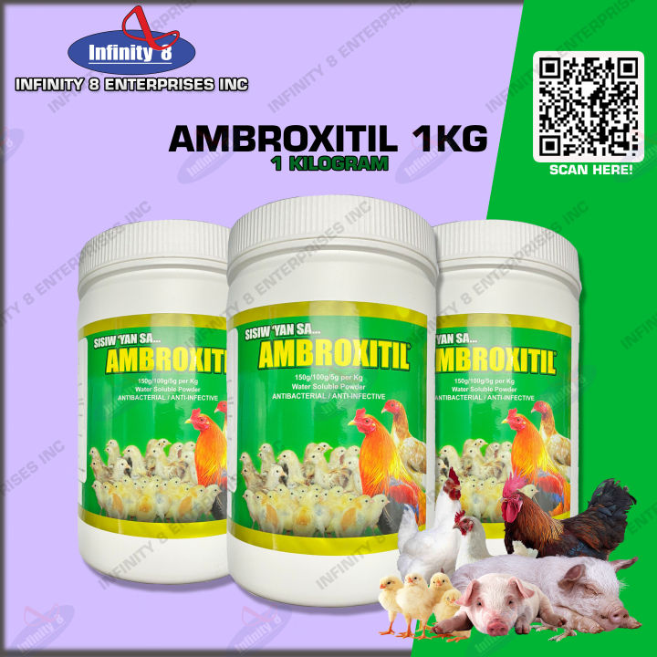 AMBROXITIL 1KG | Lazada PH
