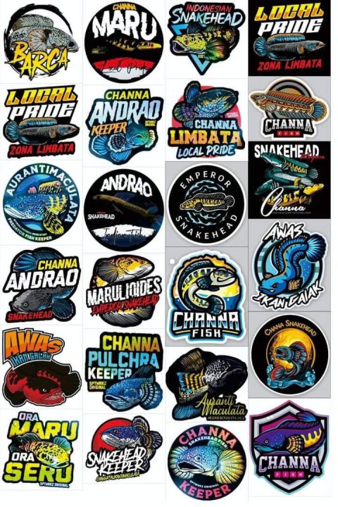 stiker ikan chana isi 30 sticker akuarium channa setiker canan gabus ...