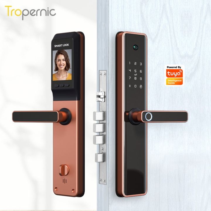 Smart Door Lock Biometric Fingerprint Wifi Tuya Electronic Deadbolt ...