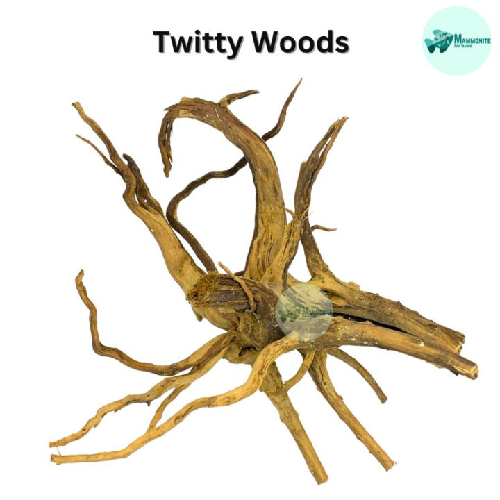 Tweety Wood | Drift Wood Aquascaping Small Medium Large XLarge per ...