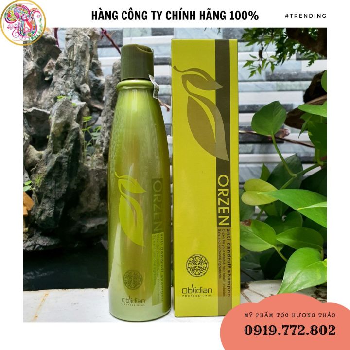 Dầu gội làm sạch gàu - vảy nến Orzen Obsidian Anti-Dandruff Shampoo ...