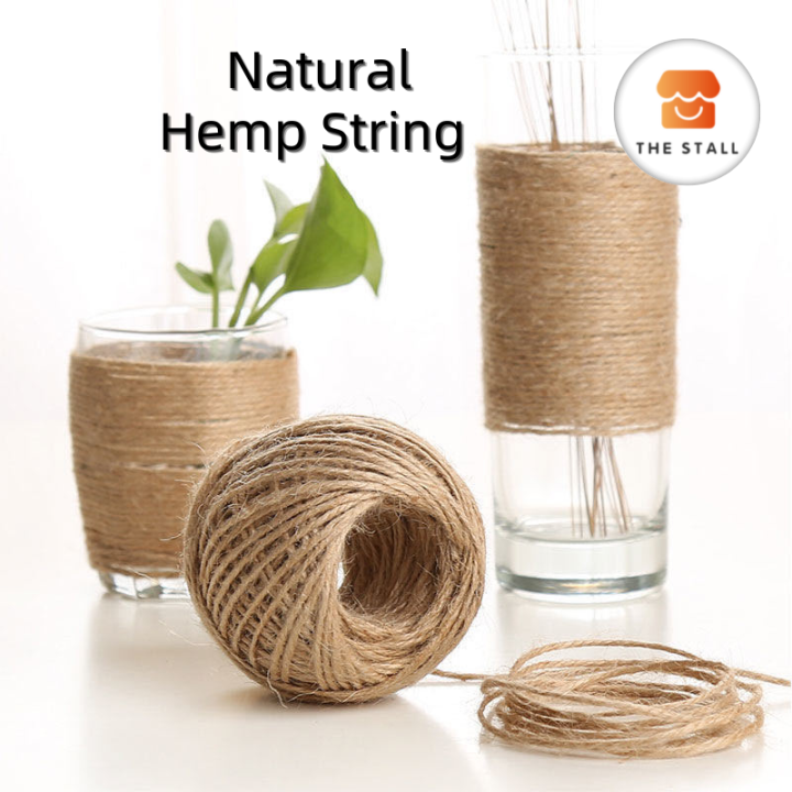 Natural Hemp String (2mm) / Hemp Twine / Hemp Rope | Lazada Singapore