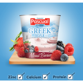 Pascual Yogurt Greek Style MIXED BERRIES (4 x 100g) | Lazada PH