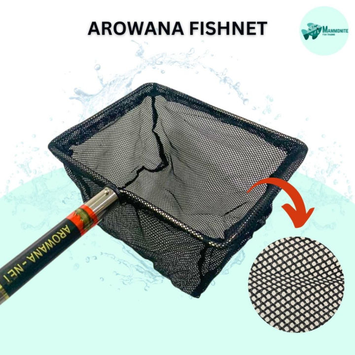 Arowana Fish Net Aquarium Tank Scoop Fishnet Arowana Net | Lazada PH